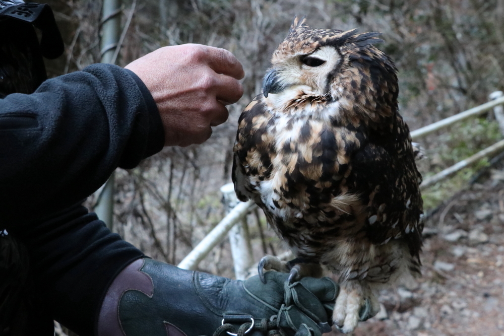 出流観音: かっちゃんのちいさな旅2